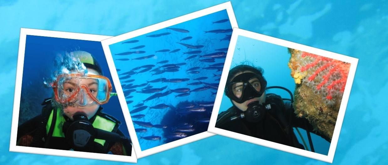 Baptême de plongée – Narval Plongée Cassis – Cœur des calanques