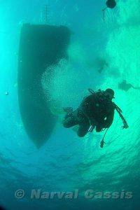 Accueil – Narval Plongée Cassis – Plongez au cœur des calanques